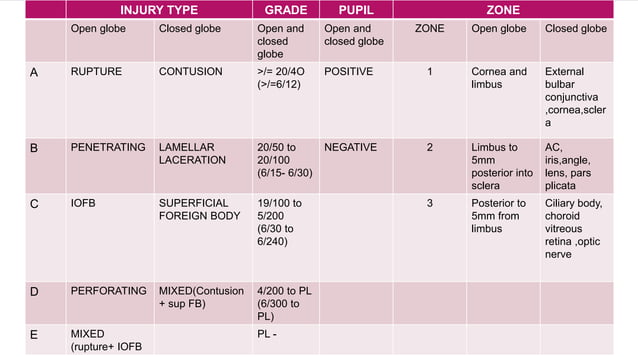 OCULAR TRAUMA - Classification of mechanical injuries, clinical ...