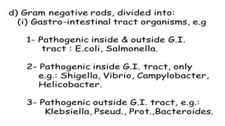 classification of medically important bacteria 2.pptx