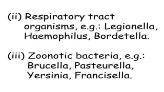 classification of medically important bacteria 2.pptx