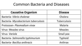 classification of medically important bacteria 2.pptx