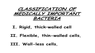 classification of medically important bacteria 2.pptx