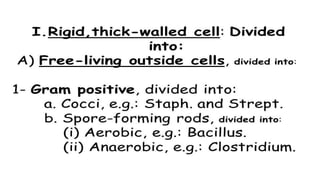 classification of medically important bacteria 2.pptx