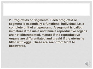 Classification Of Medically Important Helminths 2020.pptx