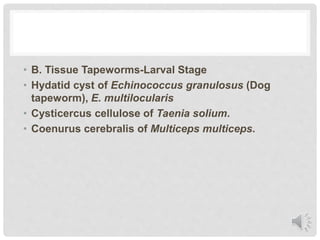 Classification Of Medically Important Helminths 2020.pptx