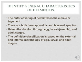 Classification Of Medically Important Helminths 2020.pptx | Infectious ...