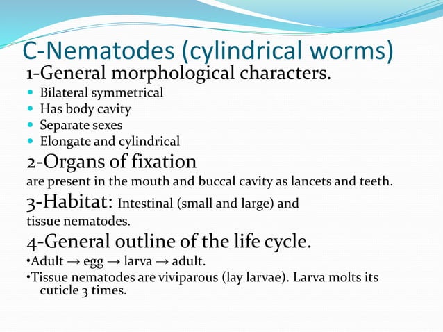 Classification of medical parasites | PPTX