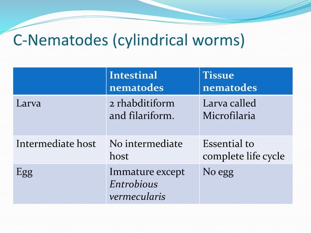 Classification of medical parasites | PPTX