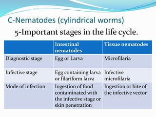Classification of medical parasites | PPTX