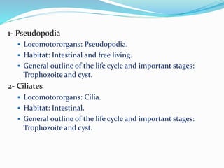 Classification of medical parasites | PPTX