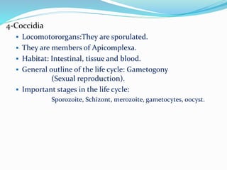 Classification of medical parasites | PPTX
