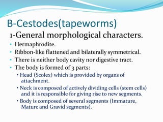 Classification of medical parasites | PPTX