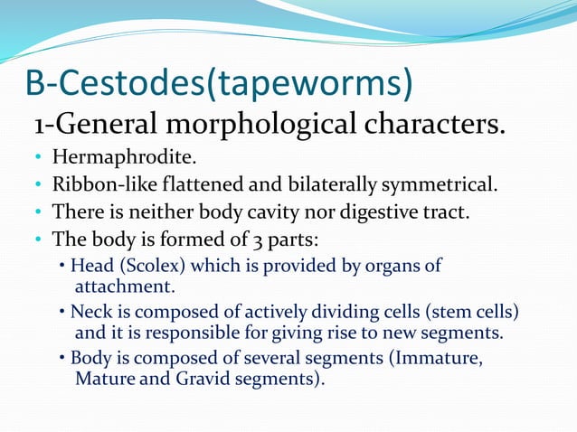 Classification of medical parasites | PPTX