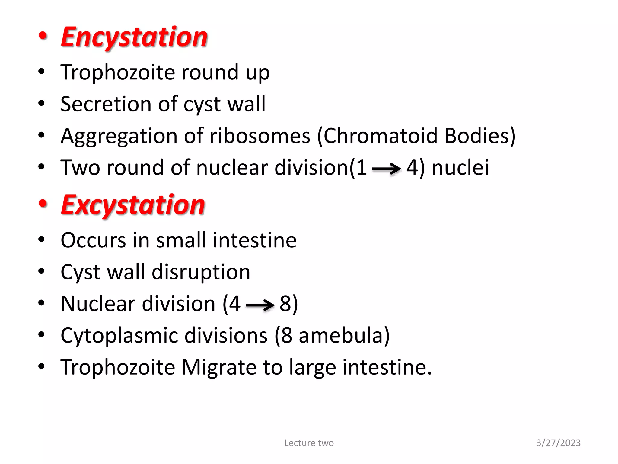 Classification of medical parasitology Lec.2.pptx