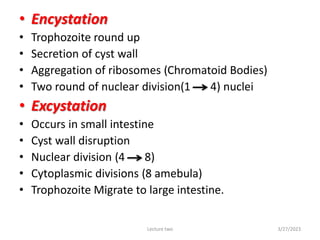 Classification of medical parasitology Lec.2.pptx