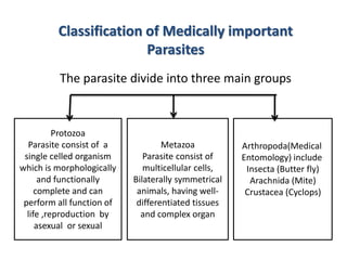 Classification of medical parasitology Lec.2.pptx