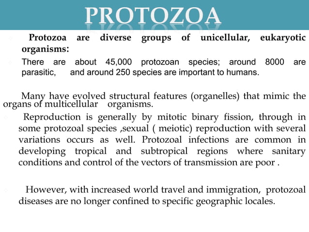 Classification of medical parasitology Lec.2.pptx