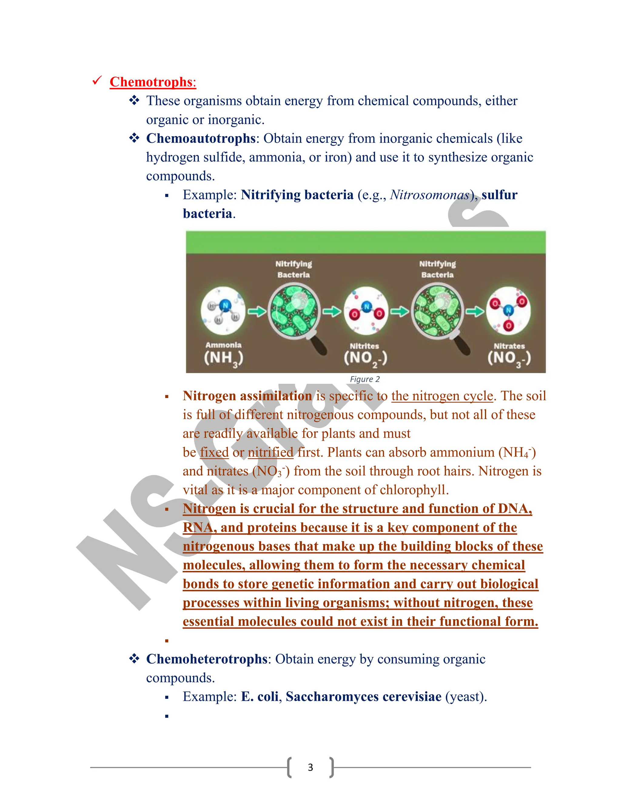 Classification of Micro-organism based on their nutrition for B.Sc ...