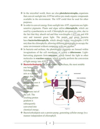 Classification of Micro-organism based on their nutrition for B.Sc ...