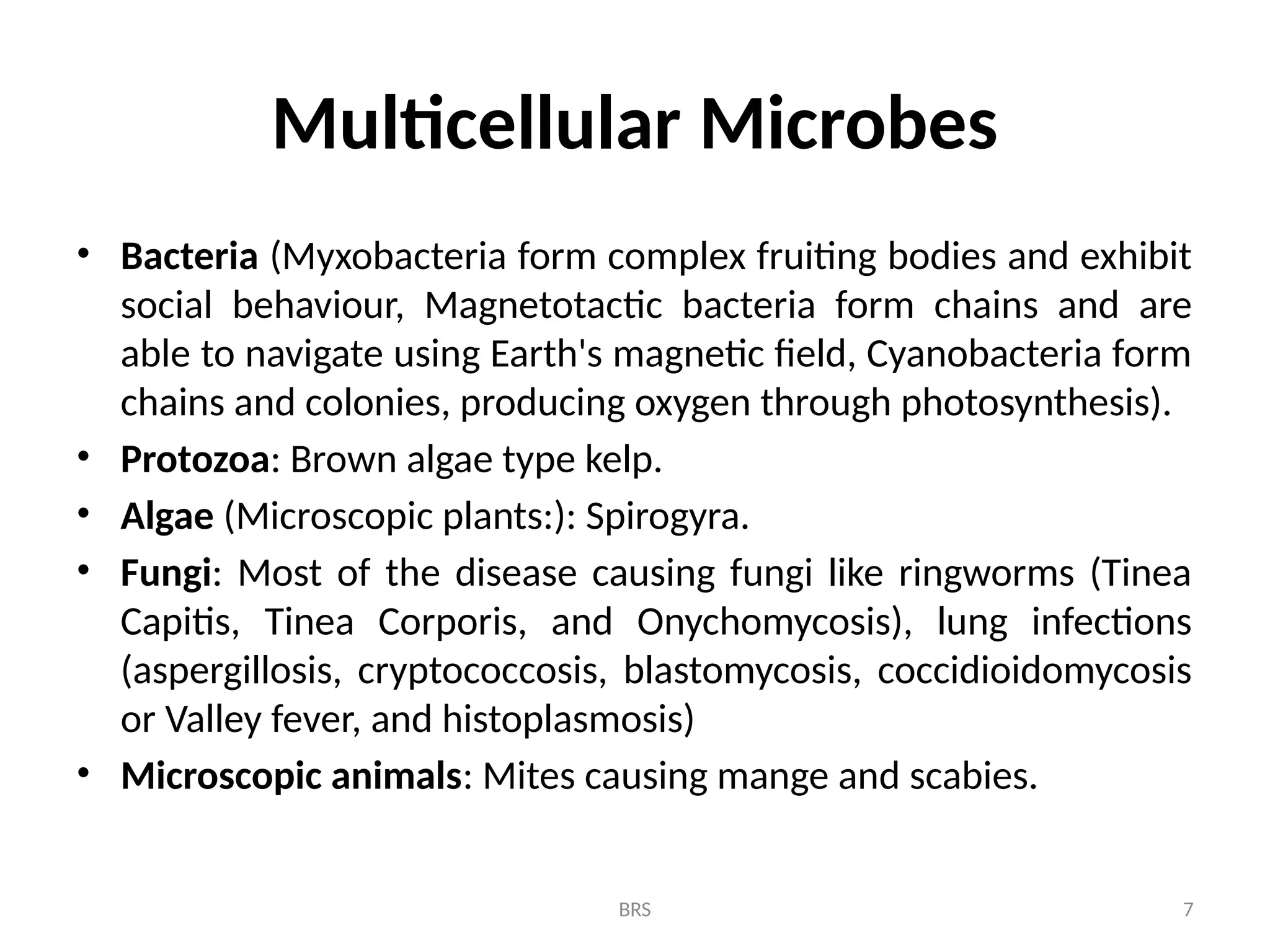 Classification of Microbes: Purposes and Uses | PPTX