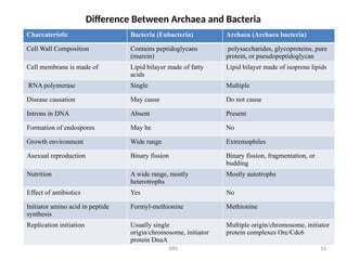 Classification of Microbes: Purposes and Uses | PPTX