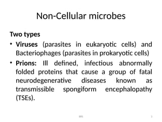 Classification of Microbes: Purposes and Uses | PPTX