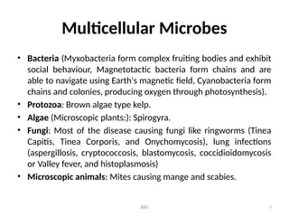 Classification of Microbes: Purposes and Uses | PPTX