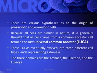 Pharmaceutical Microbiology - Classification of microbes | PPT