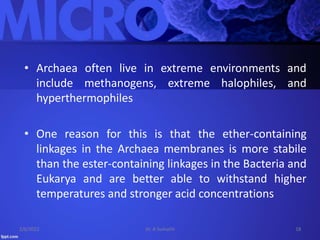 Pharmaceutical Microbiology - Classification of microbes | PPT