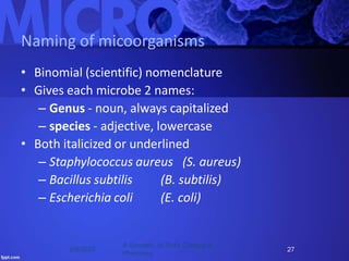 Pharmaceutical Microbiology - Classification of microbes | PPT