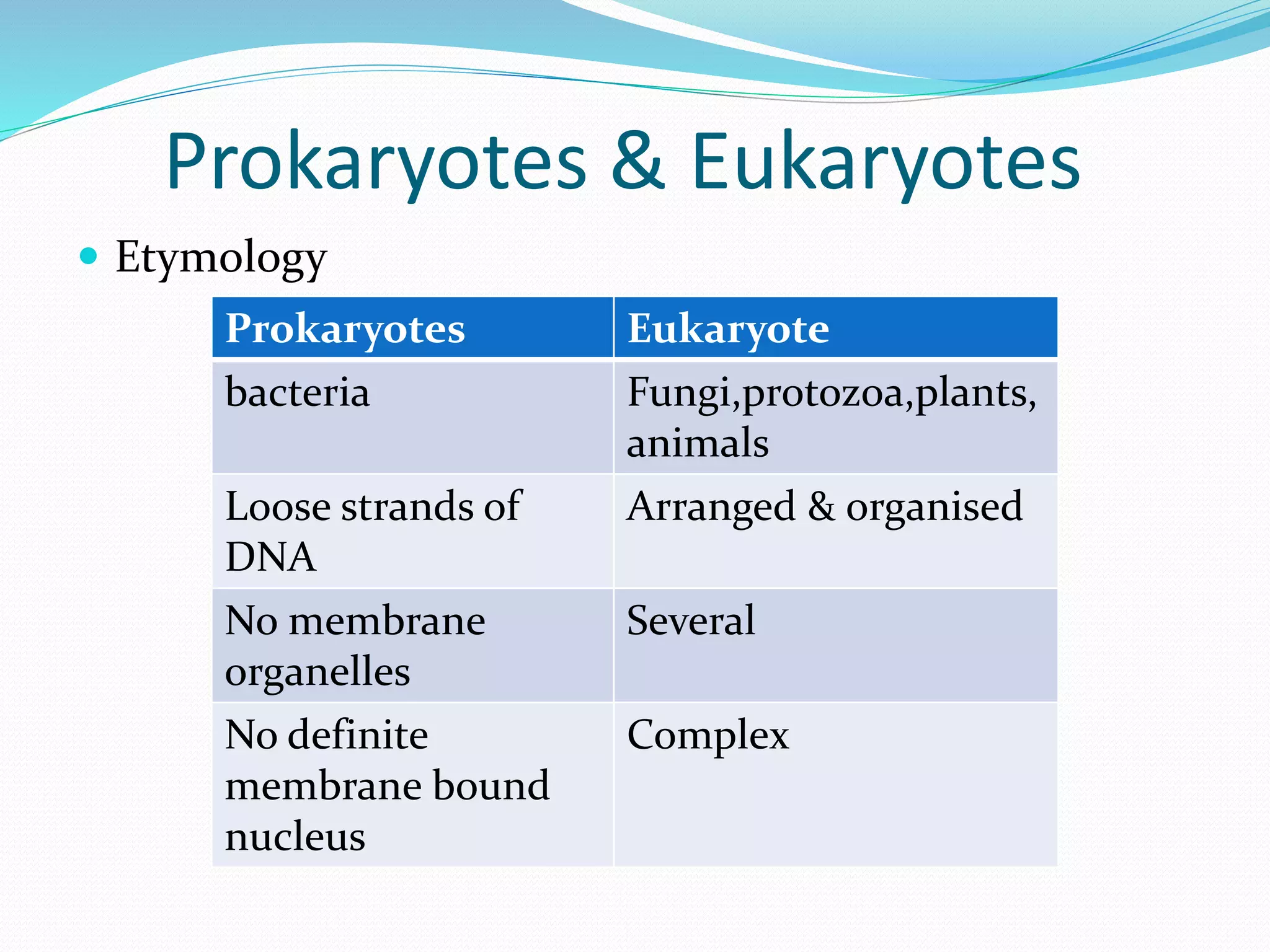 Classification of microbes neeraj sarman | PPTX