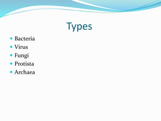Classification of microbes neeraj sarman | PPTX