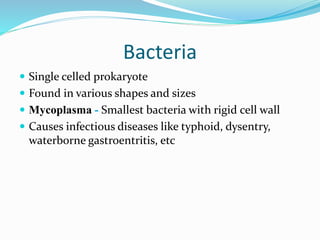 Classification of microbes neeraj sarman | PPTX