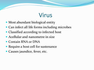 Classification of microbes neeraj sarman | PPTX