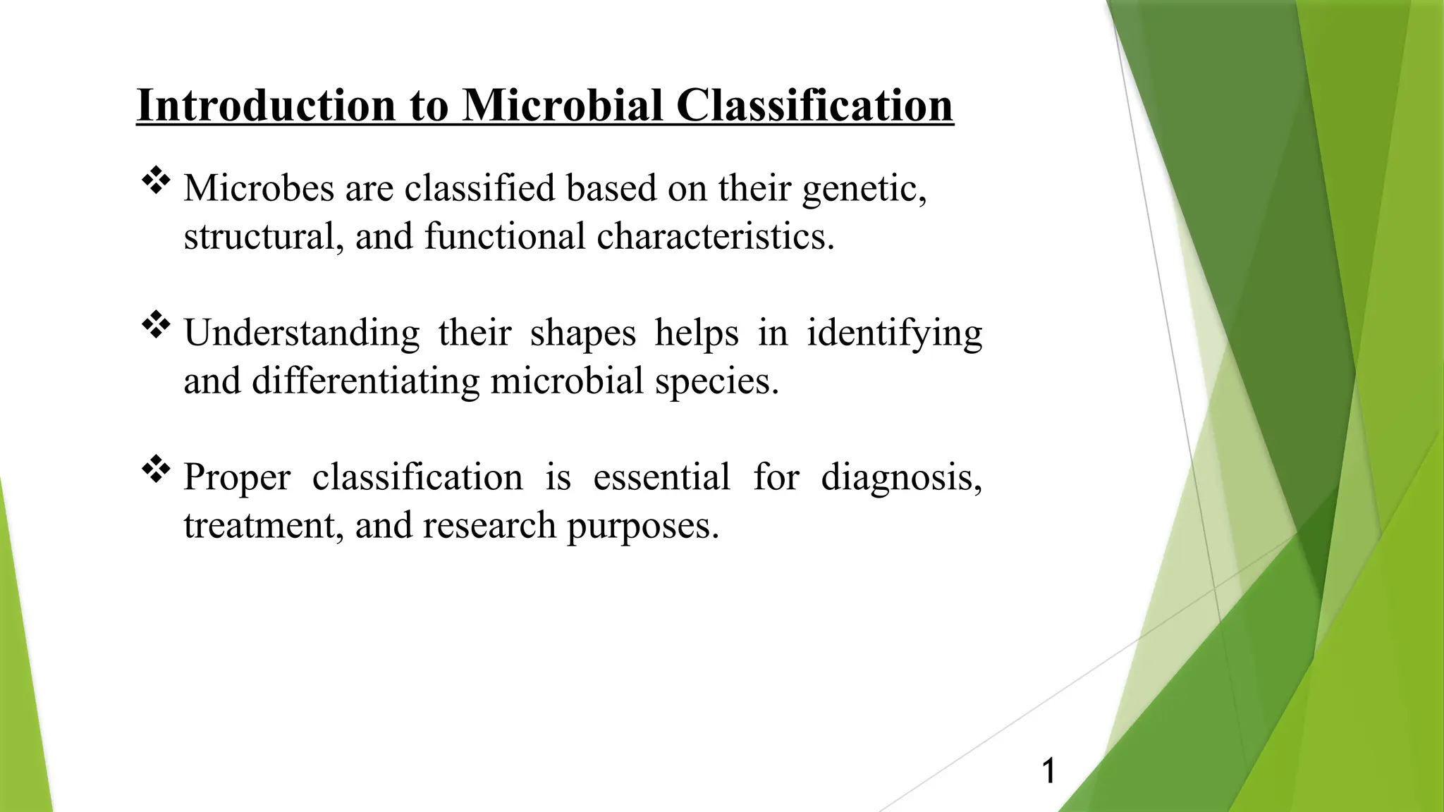 Classification Of Microbes And It's Shape.pptx