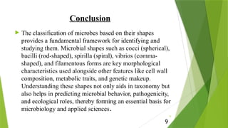 Classification Of Microbes And It's Shape.pptx