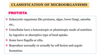 Classification of microoganisms | PPTX | Biological Sciences | Science
