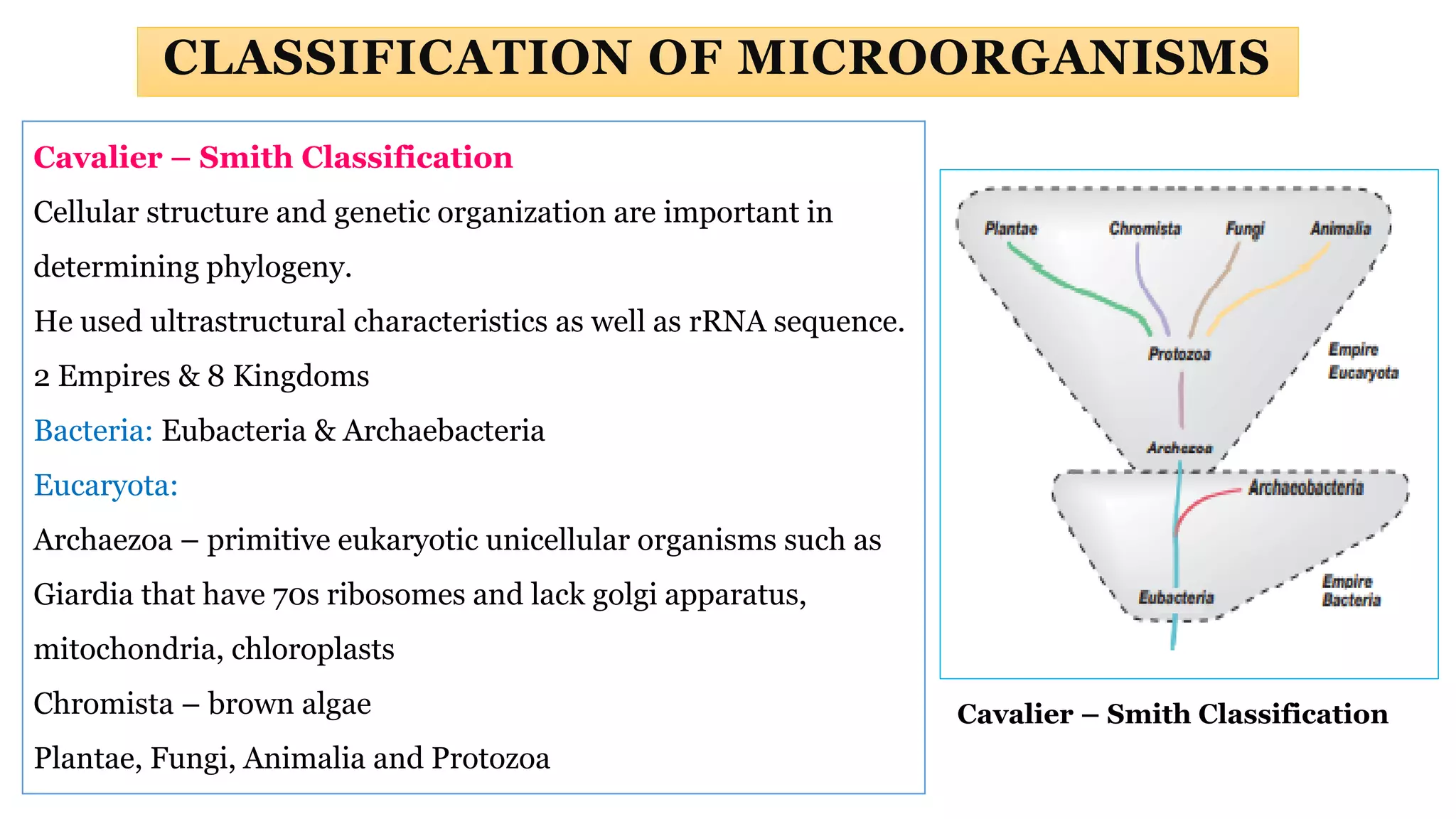 Classification of microoganisms | PPT