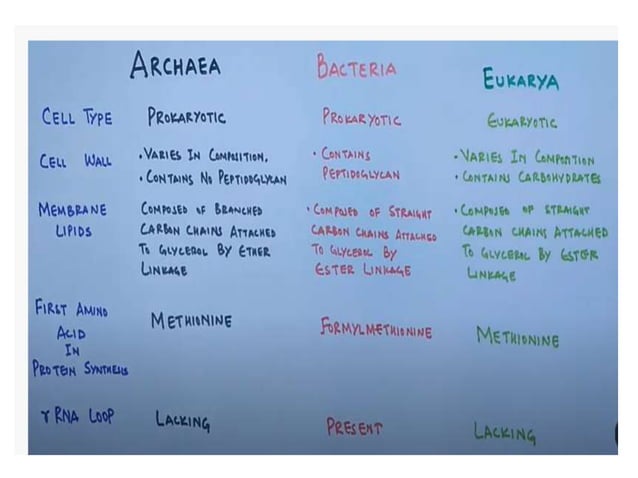 Classification of microorganism | PPTX | Biological Sciences | Science