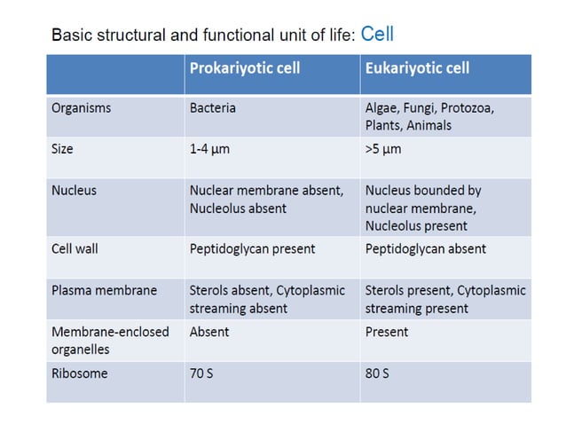 Classification of microorganism | PPTX | Biological Sciences | Science