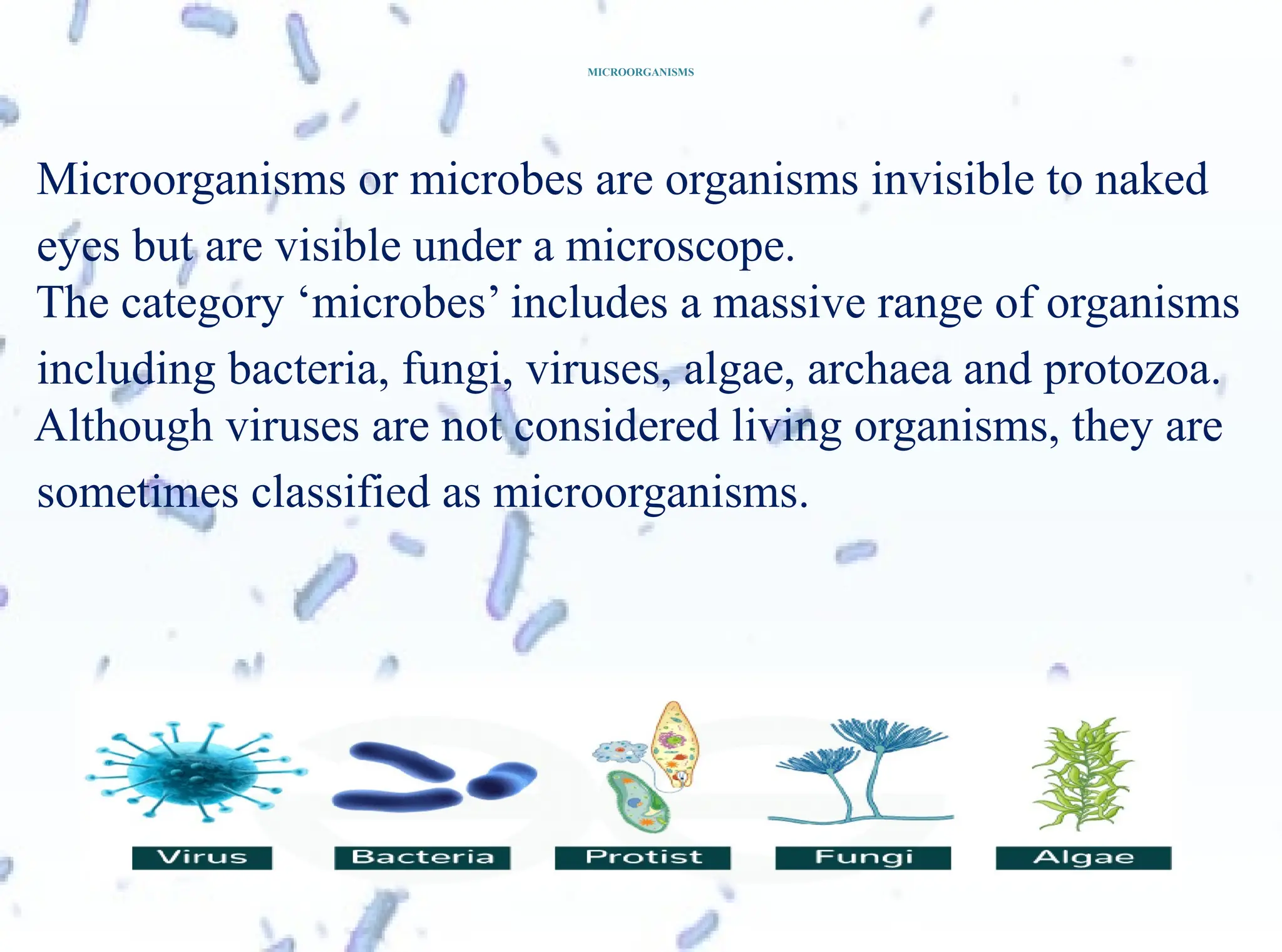 Classification of Microorganism by ernest heackel.pptx