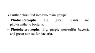 classification of microorganism on the basis of their mode of nutrition ...