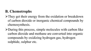 classification of microorganism on the basis of their mode of nutrition ...