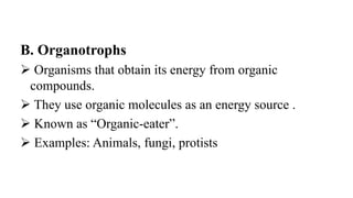 classification of microorganism on the basis of their mode of nutrition ...