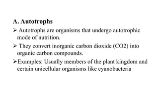 classification of microorganism on the basis of their mode of nutrition ...