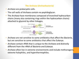 Classification of microorganisms-MICROBIOLOGY QUICK LEARN | PPT