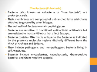 Classification of microorganisms-MICROBIOLOGY QUICK LEARN | PPT