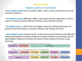 Bacteria Kingdom Classification