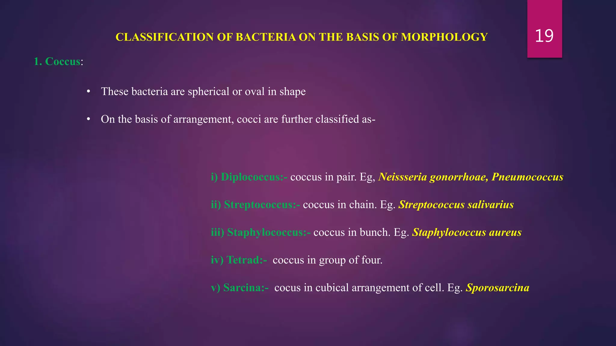 Classification of microorganisms | PPTX | Biological Sciences | Science