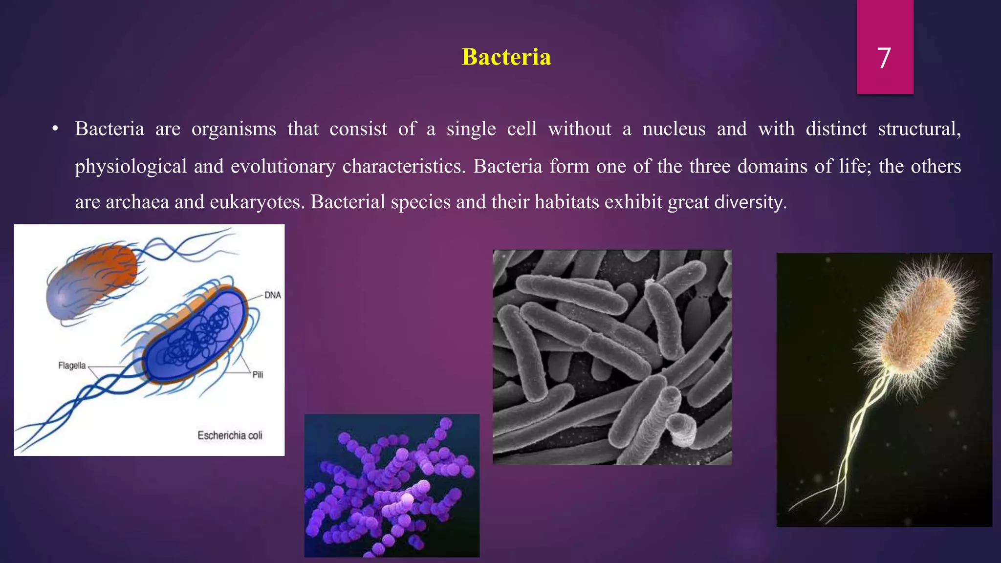 Classification of microorganisms | PPTX | Biological Sciences | Science