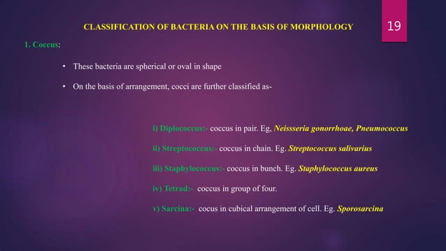 Classification of microorganisms | PPTX | Biological Sciences | Science